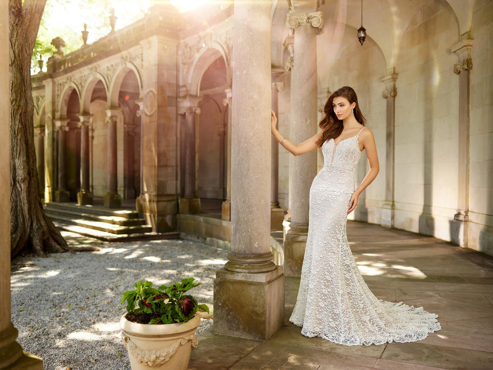 Who is Aria Martin? A Rising Star in Modeling and Athletics - Social ...