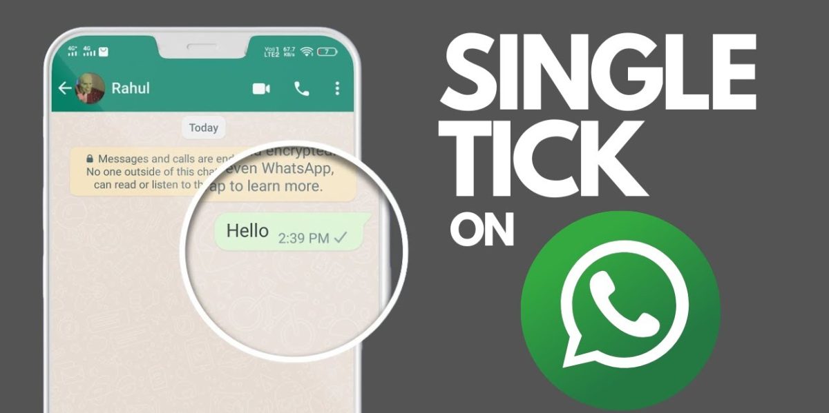 1 Tick in WhatsApp – What It Means & How to Fix It Quickly! 🚀 - Social ...