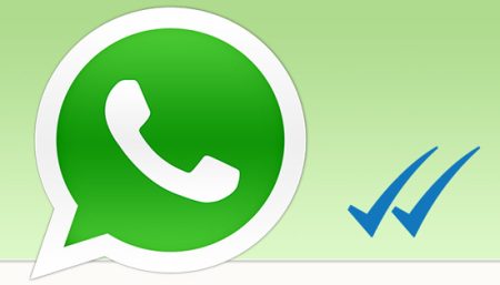 Double Tick Mark in WhatsApp: Meaning, Features & Hidden Facts - Social ...