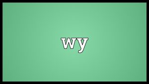 WY Meaning in Text | Slang, Acronyms & Chat Definitions