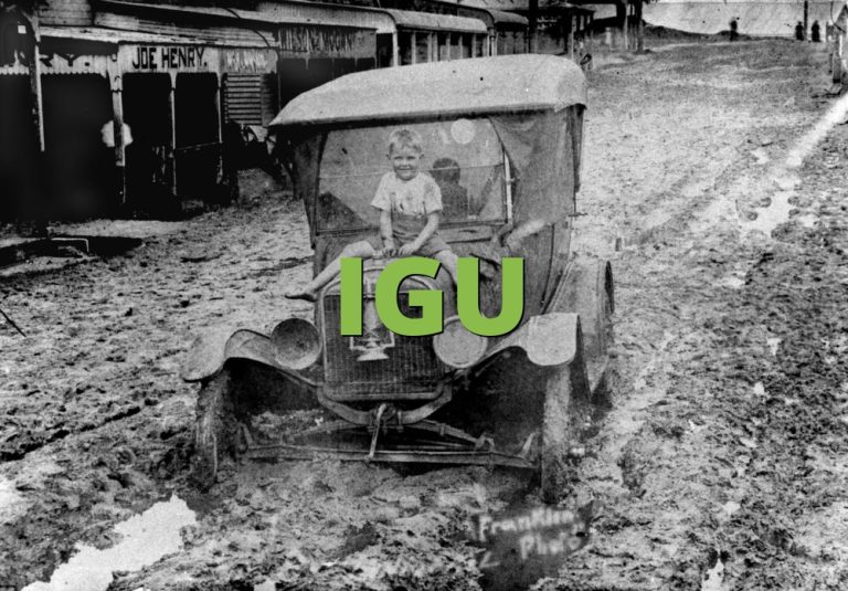 IGU Meaning in Text: Slang Definition & Usage Explained